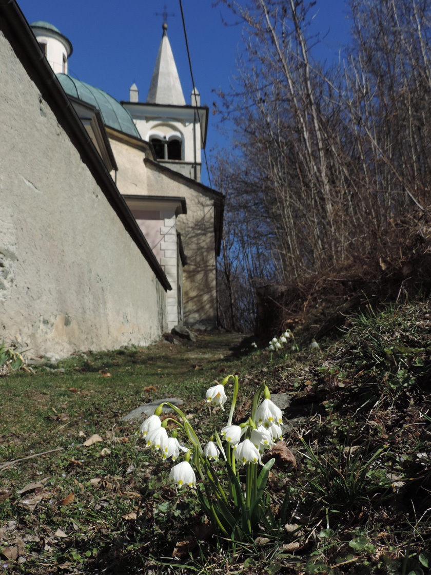 Plout, oltre il Santuario