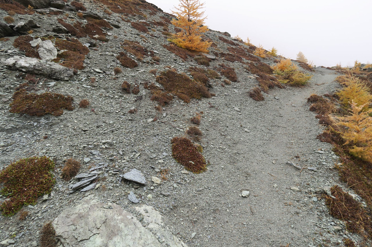 Cime Bianche, cosa le rende uniche